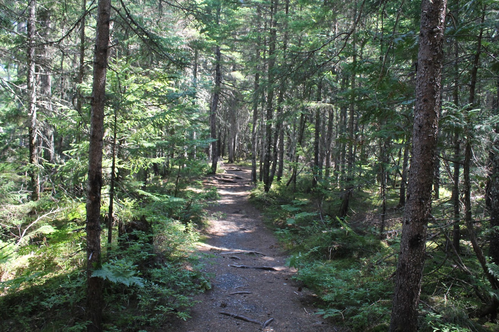 Explore Miramichi With Me: Things to Do: Little Sheephouse Falls