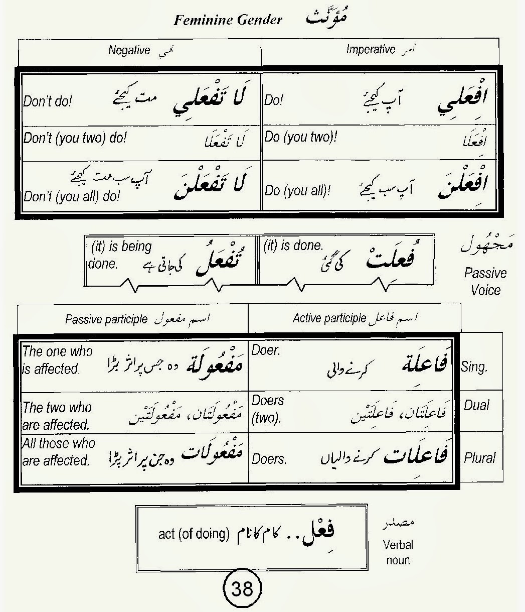 LISTEN: 80% Qur'an in Urdu