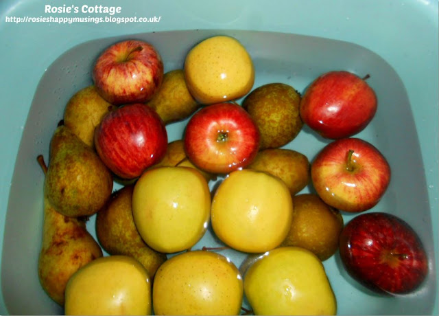 Rosie's Cottage: Smoothie Packs: How An Hour A Week Can Help You Be ...