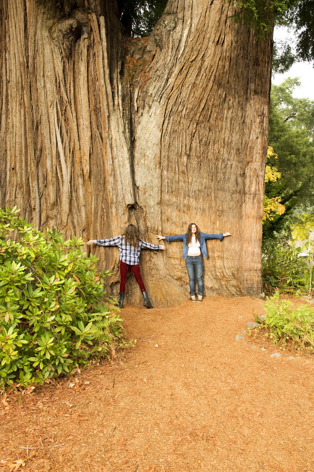 Adventure Bandits Art Club