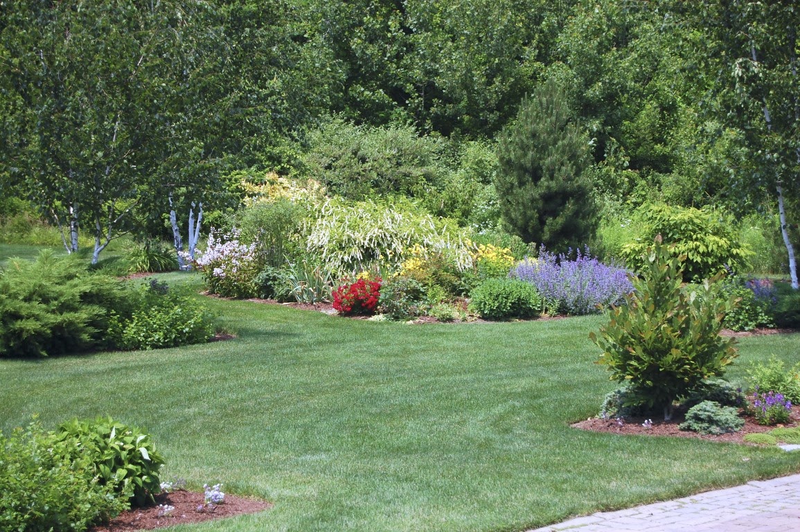 Plant Inventory at 20 Timothy : Birch Garden