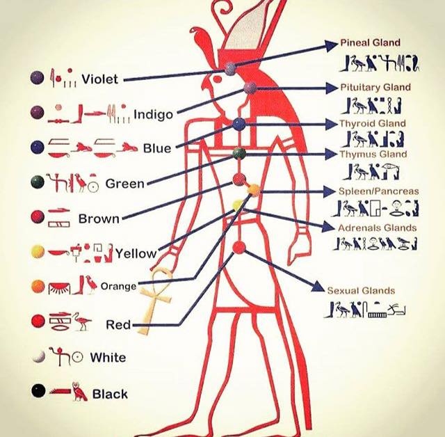 Nuta's Ankh: Chakra Energy