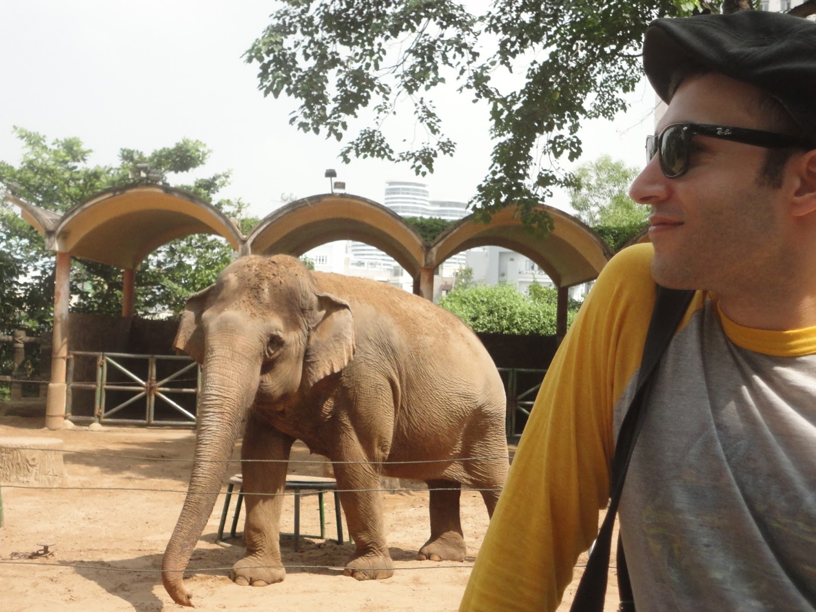 Welcome to Vietnam: Saigon Zoo Ranked One of the Oldest Zoos