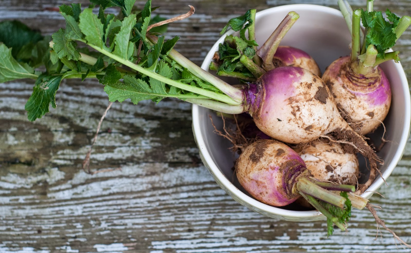 Robson's Farm: Turn Up Your Turnip Use