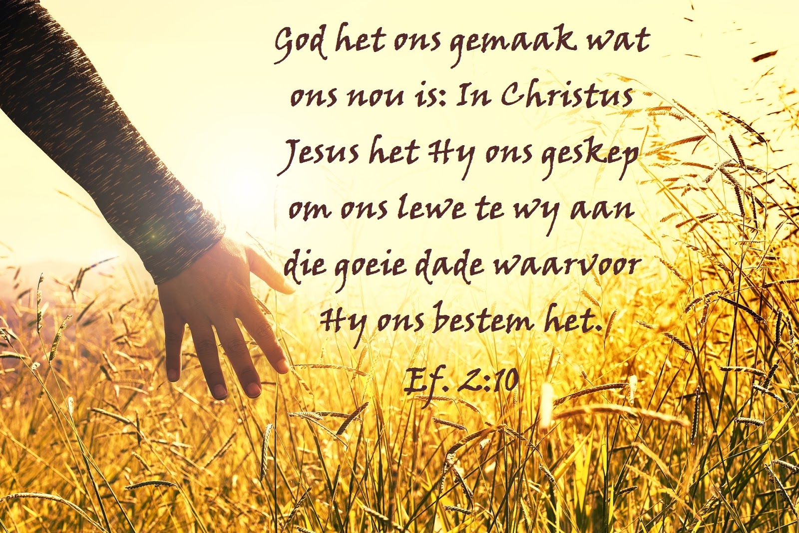 Nuwe mens… meesterstuk! – Madeleine Venter