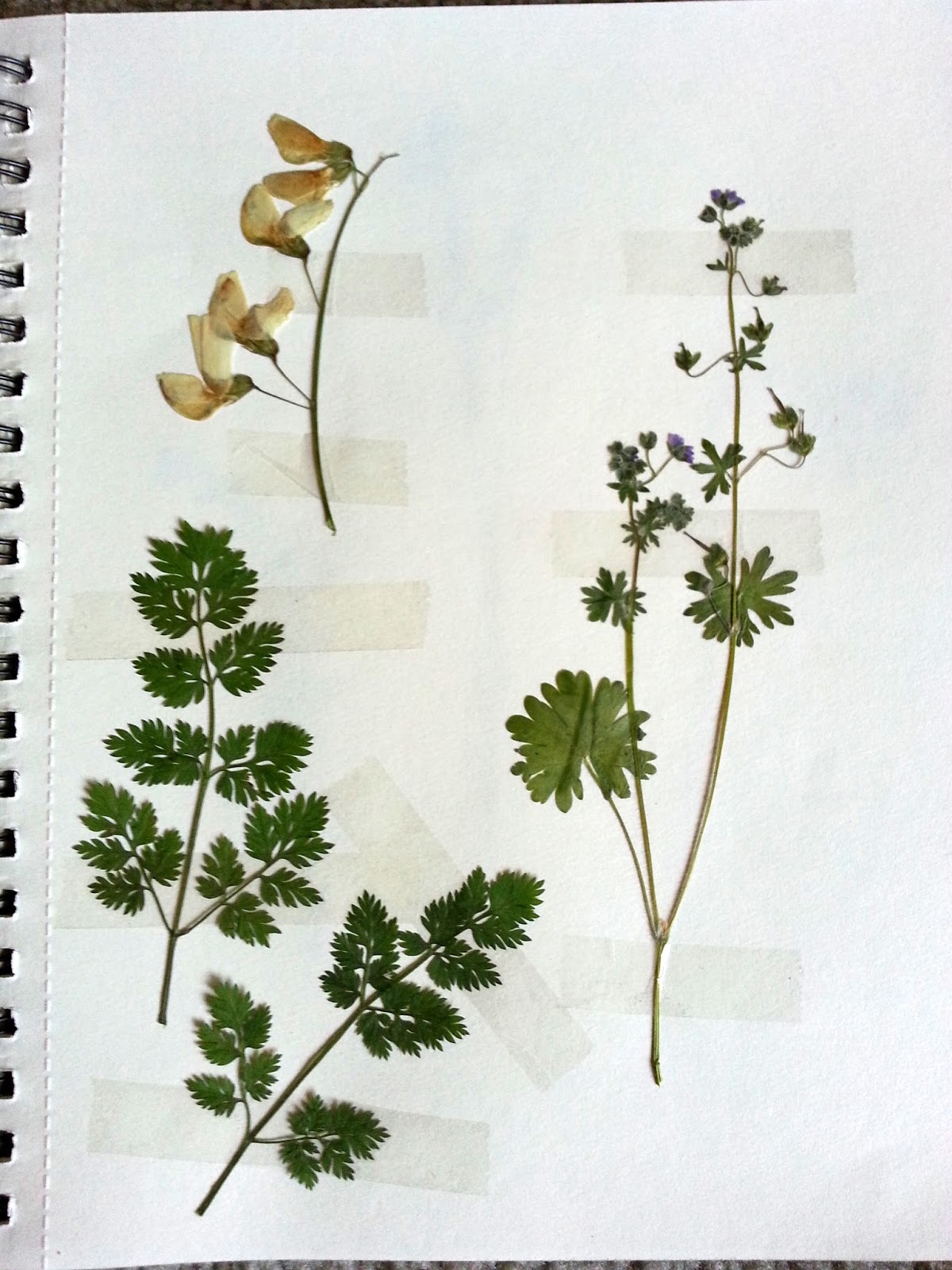 The Changing Year Orange County: Pressed Flower Notebook