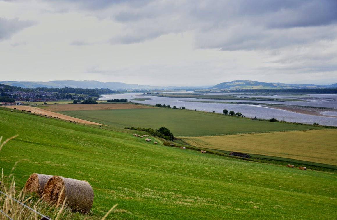 North Fife: Field Peas North Fife