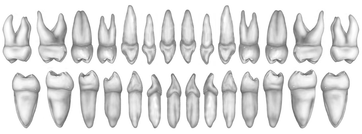 Come funziona? Info Tecnico Commerciali per il Personale di Vendita ...