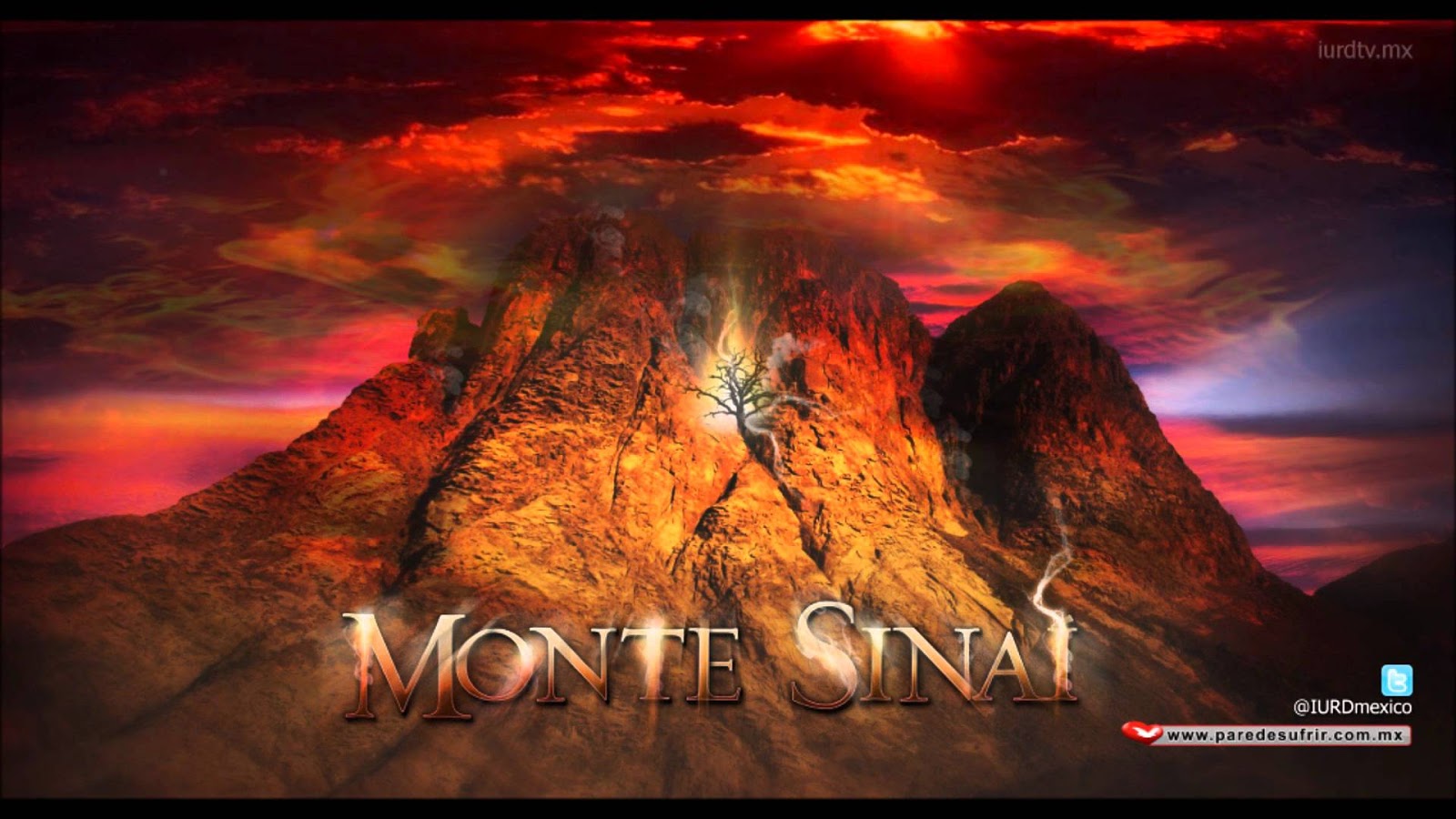 DIGITALIZAD@S : El monte sinai