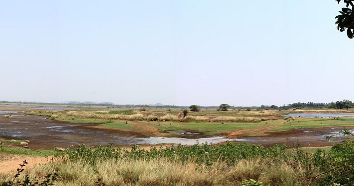 Tamilnadu Tourism: Vedal Lake, Cheyyur, Kanchipuram