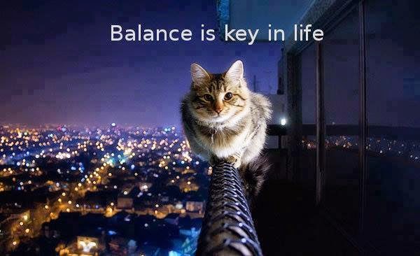 Balance is key in life ~ Joke All You Can