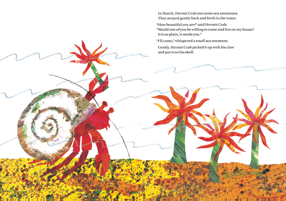 soñando cuentos: UNA CASA PARA EL CANGREJO ERMITAÑO.