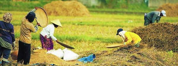 Media Pembelajaran Agroindustri: Kondisi Pertanian Saat Ini Berdasarkan ...