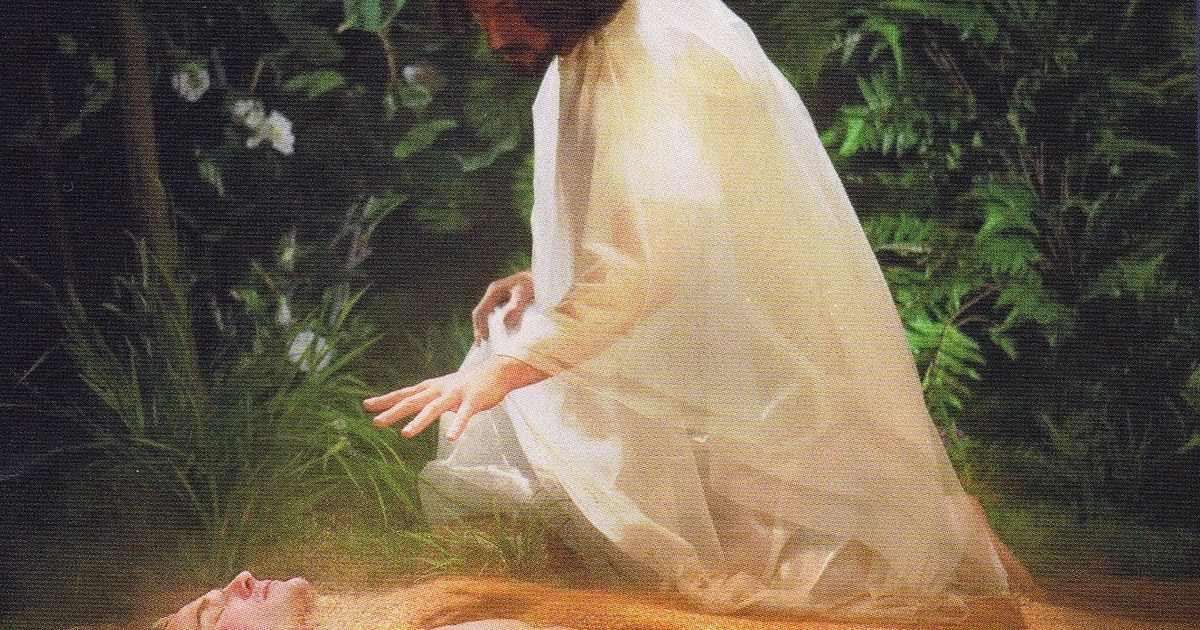 Orar Evangelizando: 56. ¿ Tiene el hombre una posición privilegiada en ...