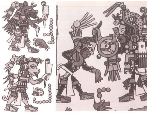 Organización política de los aztecas ~ Aprenda historia de la humanidad