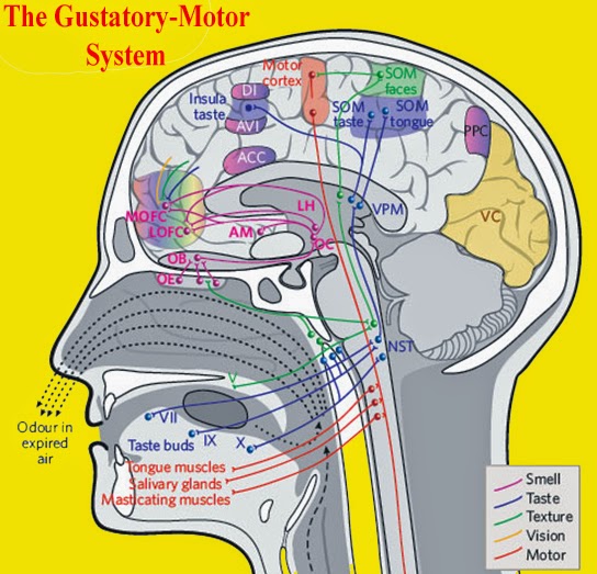 Dr. Scott Cuthbert: February 2015