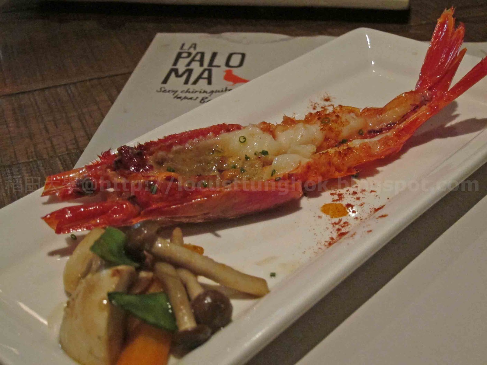 稻田大學‧吃喝玩樂系: 加泰隆尼亞斑鳩 @ La Paloma