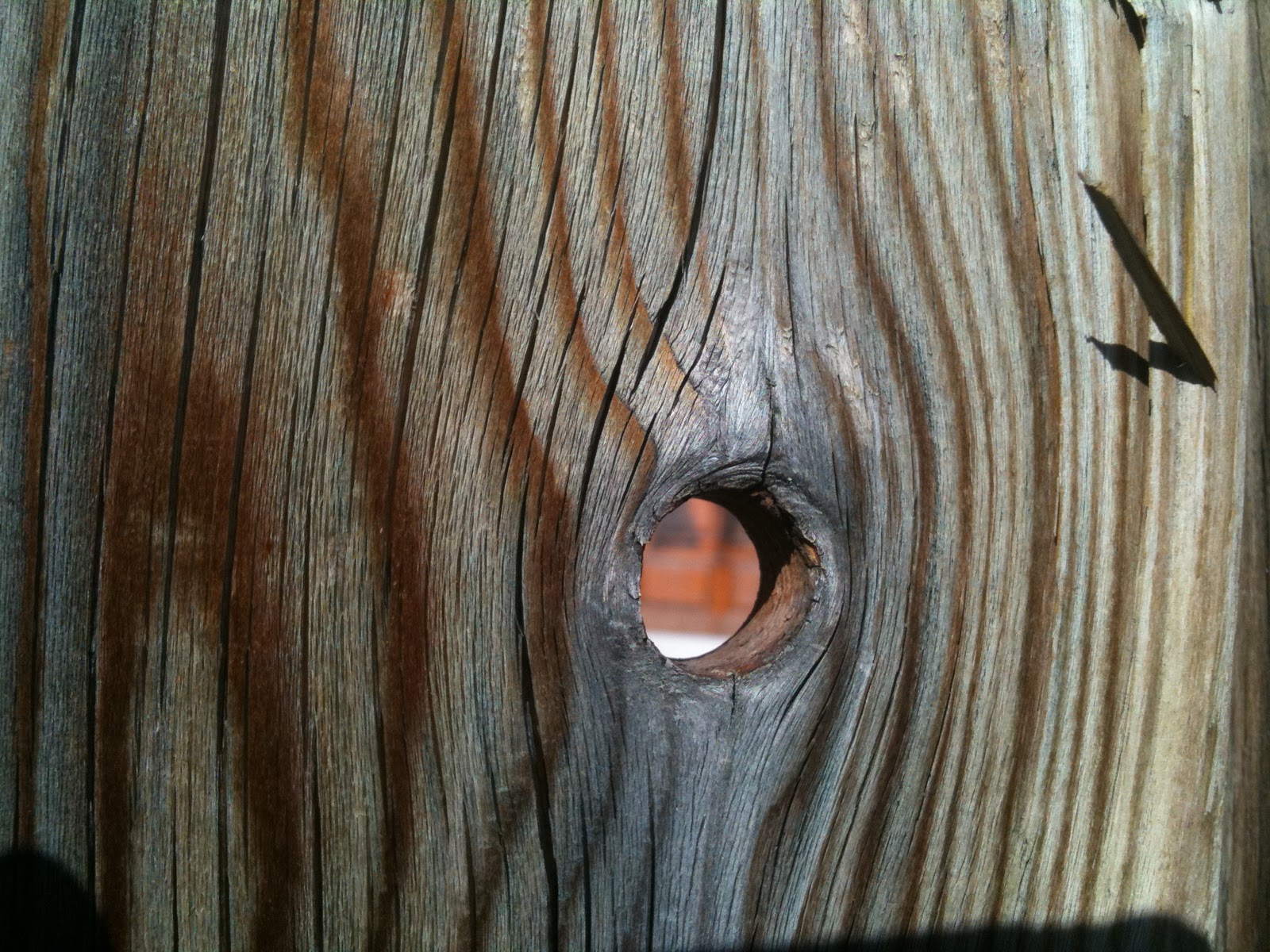 Michelle Josef: Photography-an iphone hobby