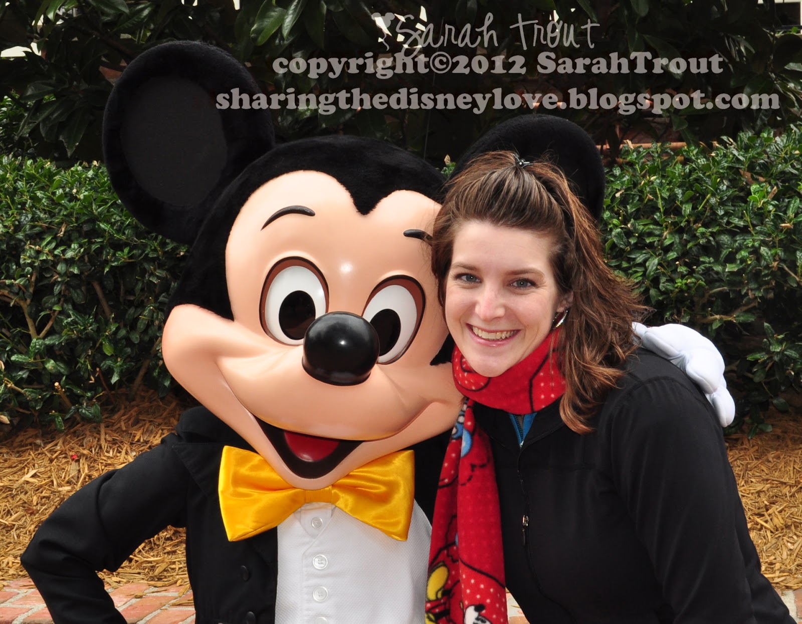 Sharing The Love: All About this Disney Nerd