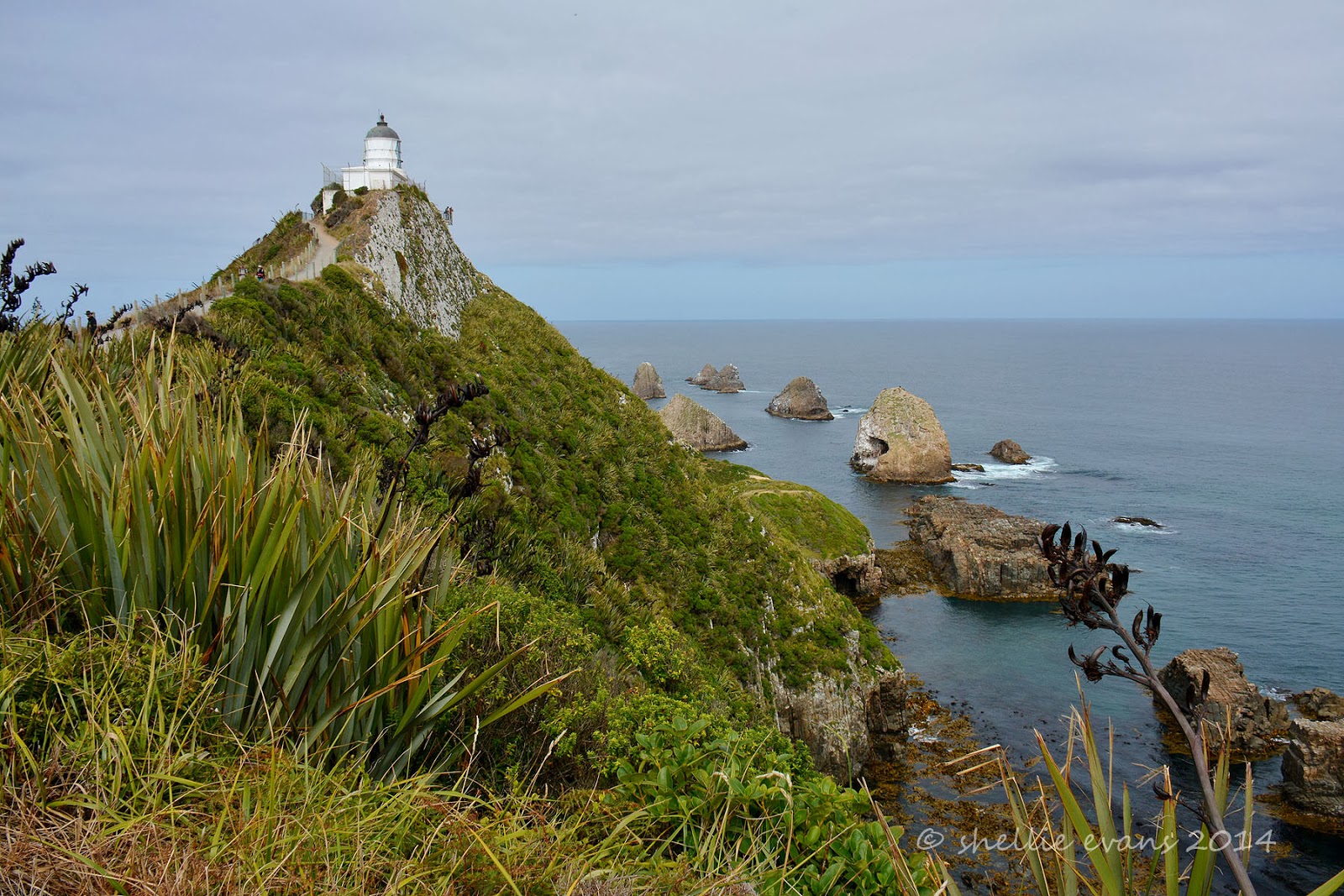 Two Go Tiki Touring: Nugget Point Lighthouse