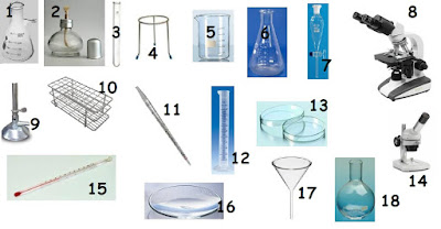 Escuela 7 DE 20 "Aristóbulo del Valle" : 5° va al Laboratorio