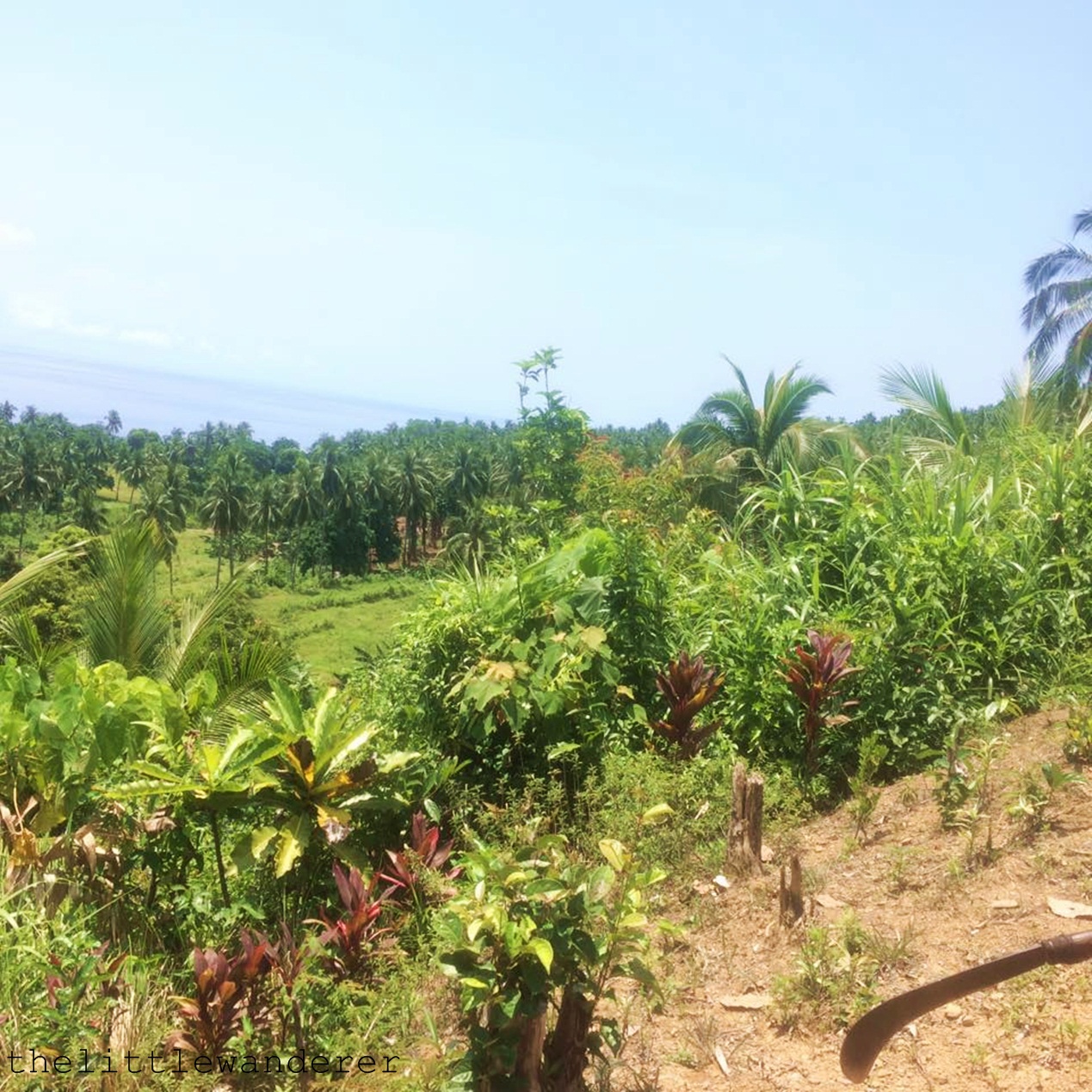 General Nakar, Quezon: Visiting the Dumagat Tribe - what's up, j?