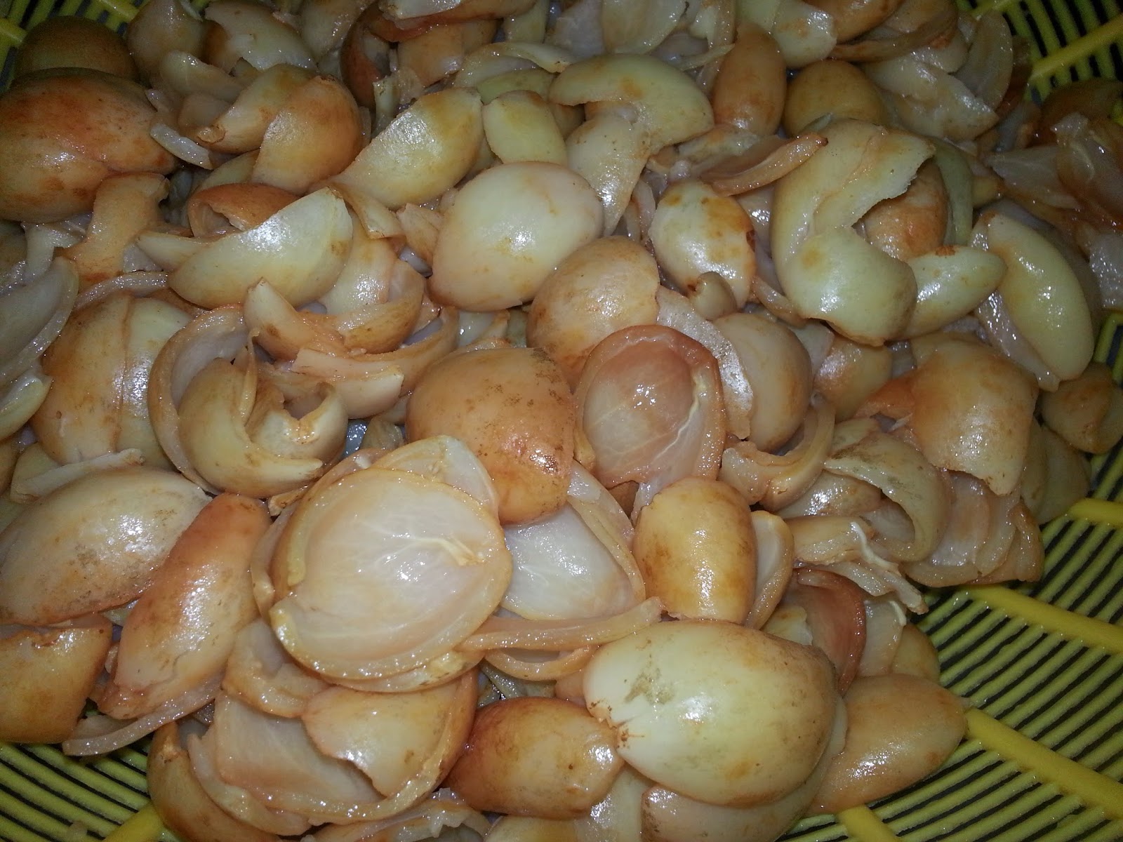 Di SeBaLiK KeHiDuPaN: Masak Lemak Kulit Rambai