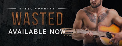 Sassy Book Lovers: Wasted by MJ Fields PLUS Giveaway!