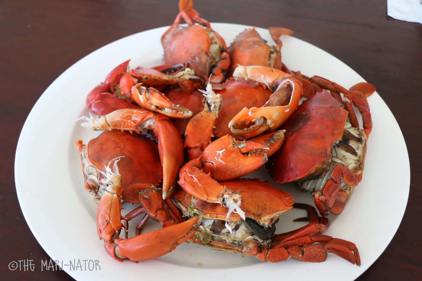 Tampay sa Sinagtala, Orani, Bataan | The Mari-nator