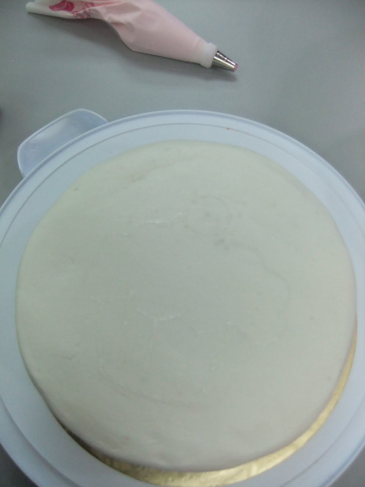 Prayers, Hugs & Diapers: Wilton Method Basic Cake Decorating Course .... part 2