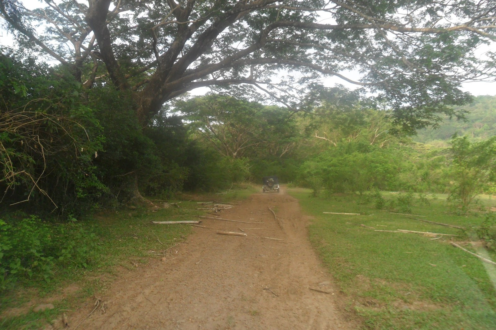 Dince's Chronicles: MT. NAGPATONG AND THE BONIFACIO HISTORICAL ...