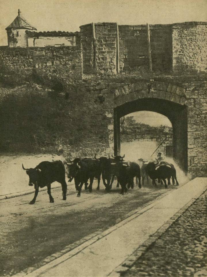 Pitillas: EL ENCIERRO