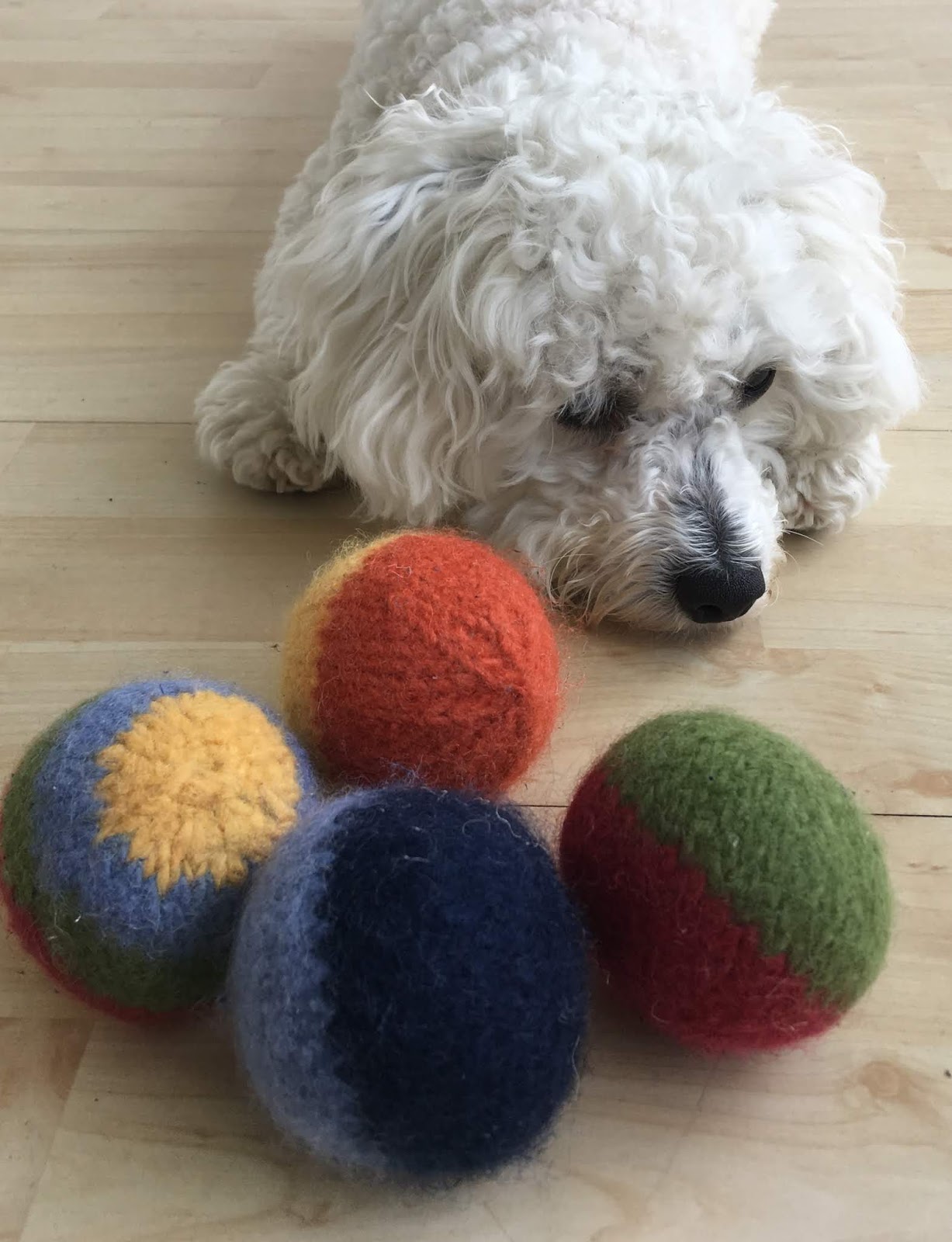 the Creations of Crazy Dazy: dog ball pattern