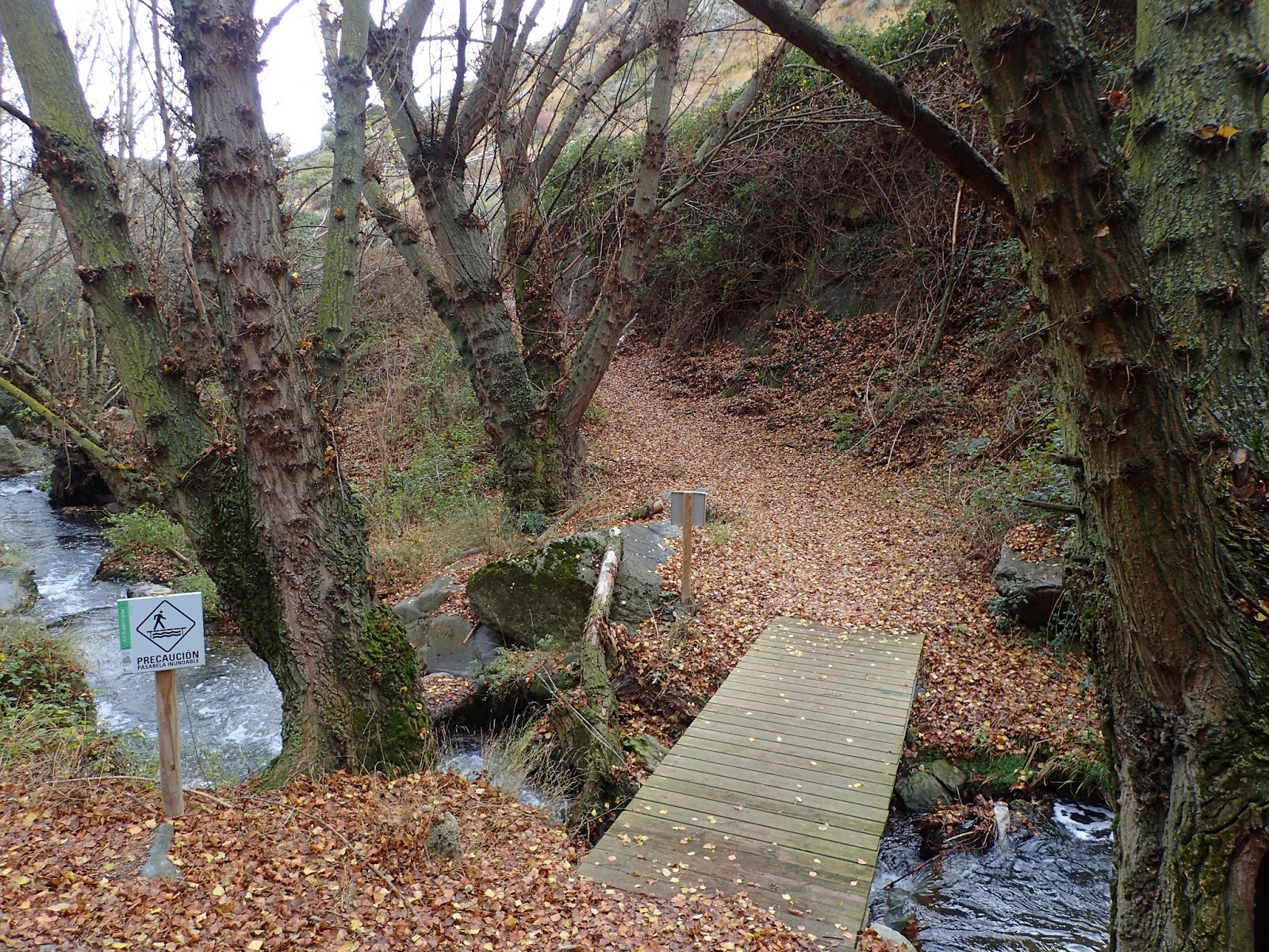 Wikiloc | Ruta Ágreda Sendero del cañón del río Val PR-SO 20