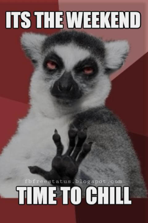 Funny & Happy Weekend Memes Quotes With Funny Weekend Images
