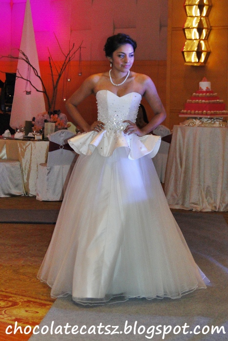 Chocolate Cats: wedding artists by carven ong