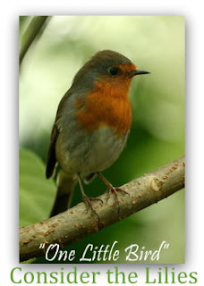 Consider the Lilies Poetry: One Little Bird