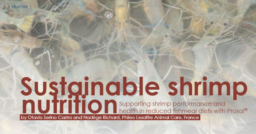 The Aquaculturists: Supporting shrimp performance and health in reduced ...