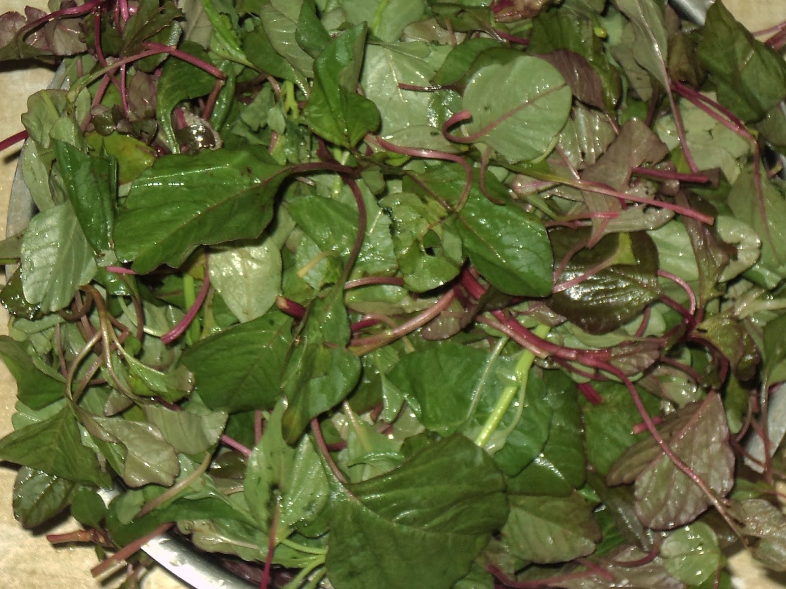 Laal Math Ka Saag Recipe, How to Make Laal Math Bhaji