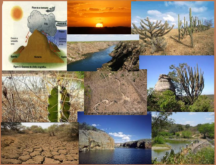 BIBOCA AMBIENTAL : CAATINGA - BREVE HISTÓRICO