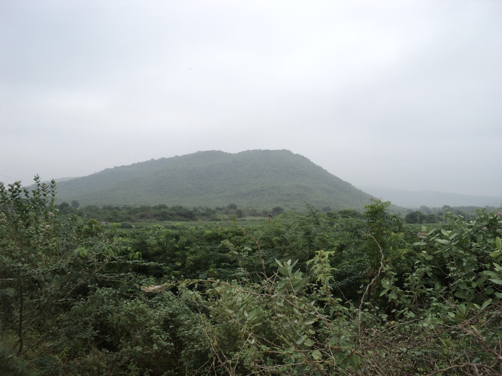 FREELANCE ARCHAEOLOGIST RAHUL VARANASI : GUTTIKONDA BILAM, GUNTUR DISRTICT