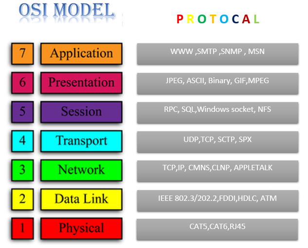 ตัวอย่าง OSI MODEL