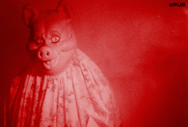 Your Personal Opinion Is Wrong: WRUB #17: Pigs R00L Edition