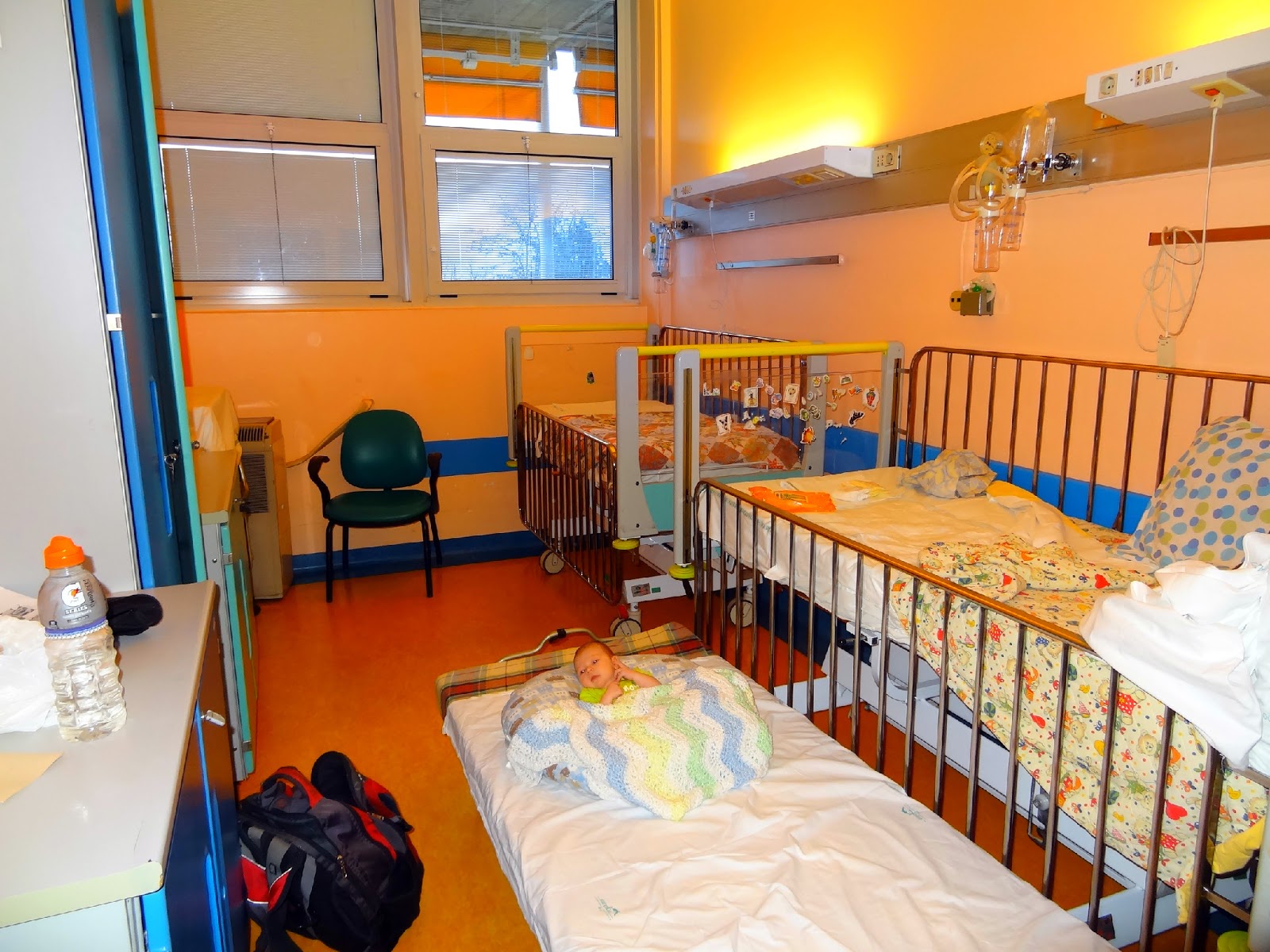 The Life of a Wildflower: PKU and Italian Hospitals