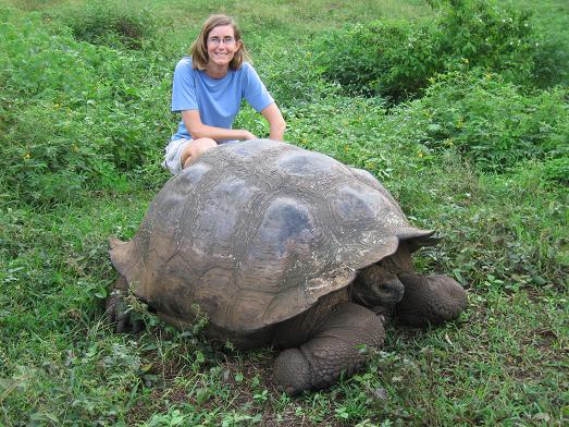 AJORBAHMAN'S COLLECTION: Alien Giant Tortoise Helps Restore Ecosystem
