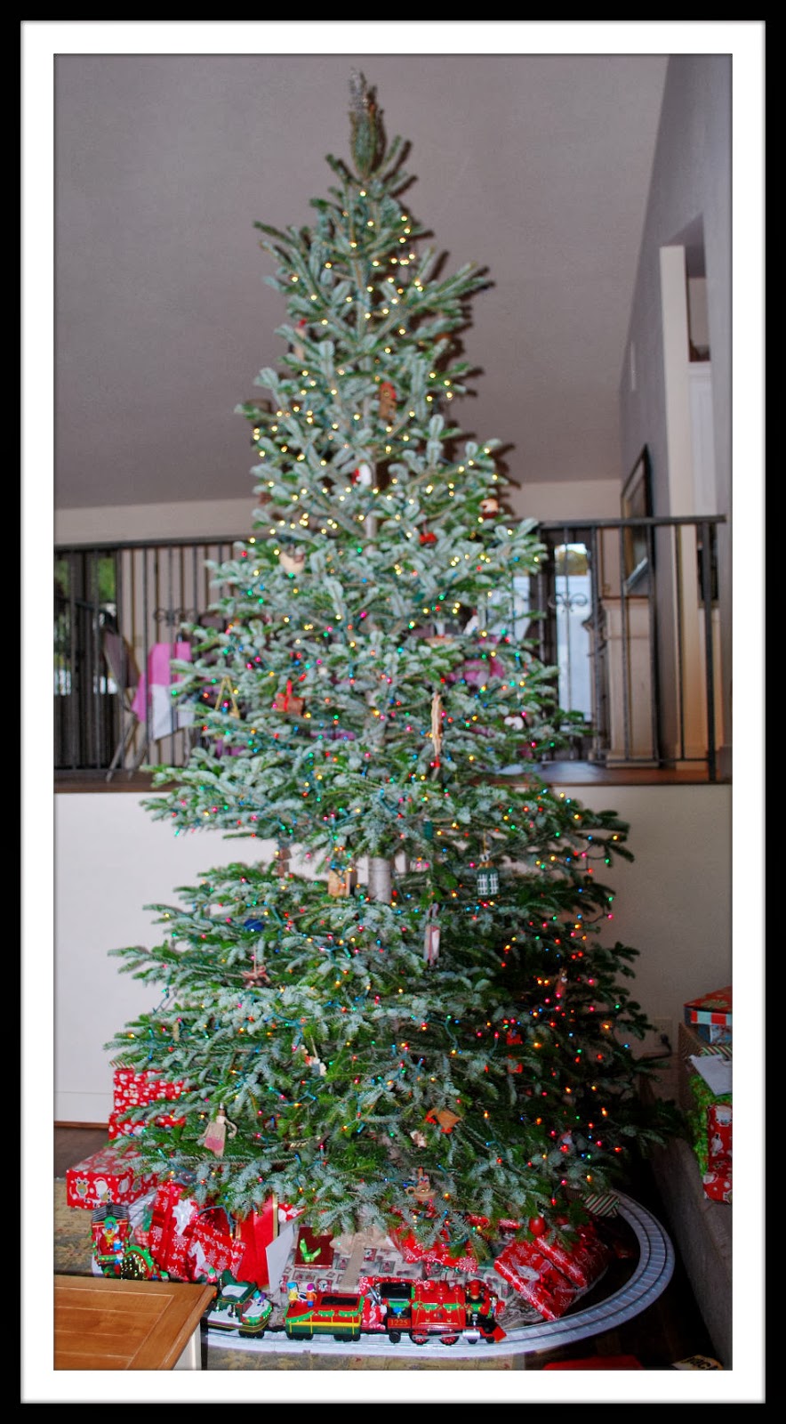 Robyn's Hobbies: Cooking, Gardening & More!: Christmas in Santa Barbara