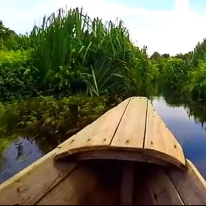 Spot Berphoto Di Danau Zamrud Dayun Siak | Pesona Riau