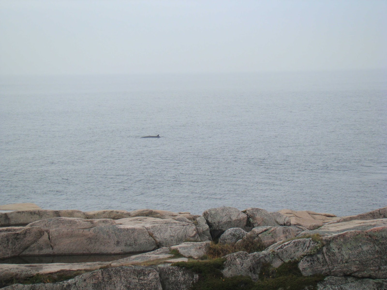 Parcs Canada: Centre d'interprétation et d'observation du Cap-de-Bon ...