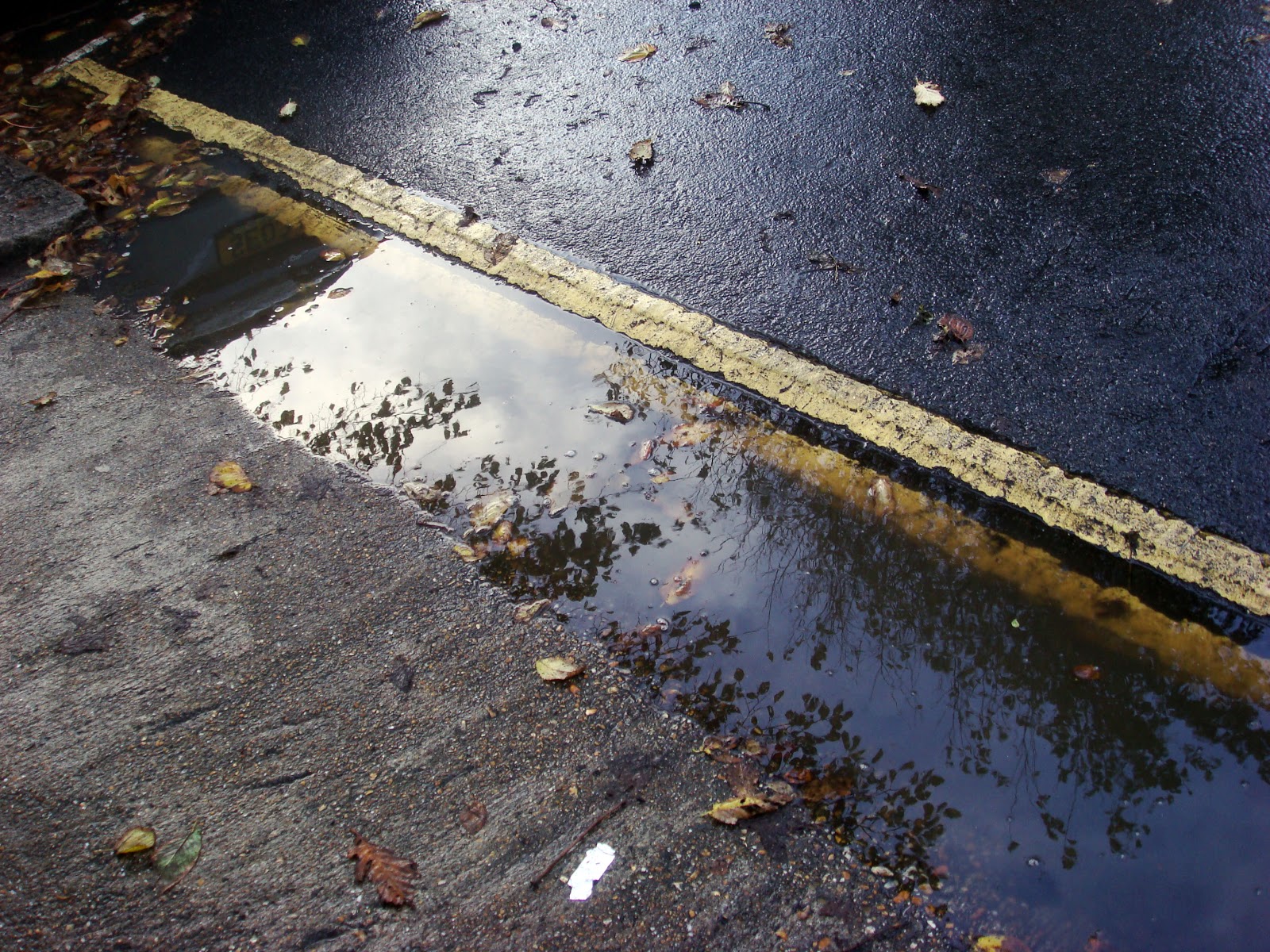 Hove Daily Photo: P is for Puddle
