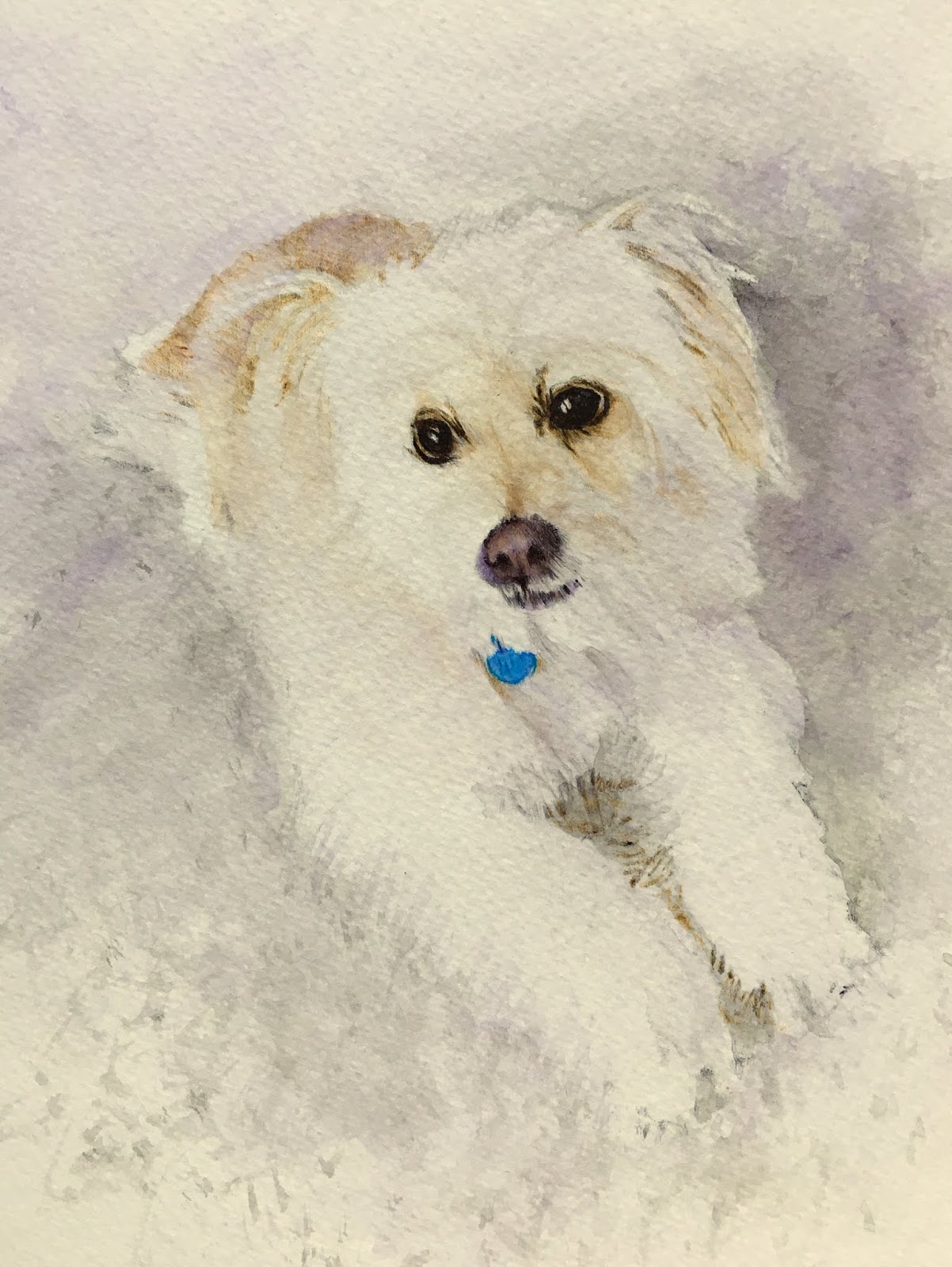 Acoustic Drawings The Shinji Ogata Gallery: A Beautiful Dog 美しい犬